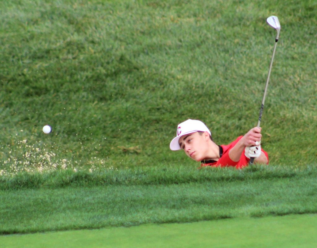 Heading to states: EF’s Didjunas ties for second in WPIAL Class AA ...